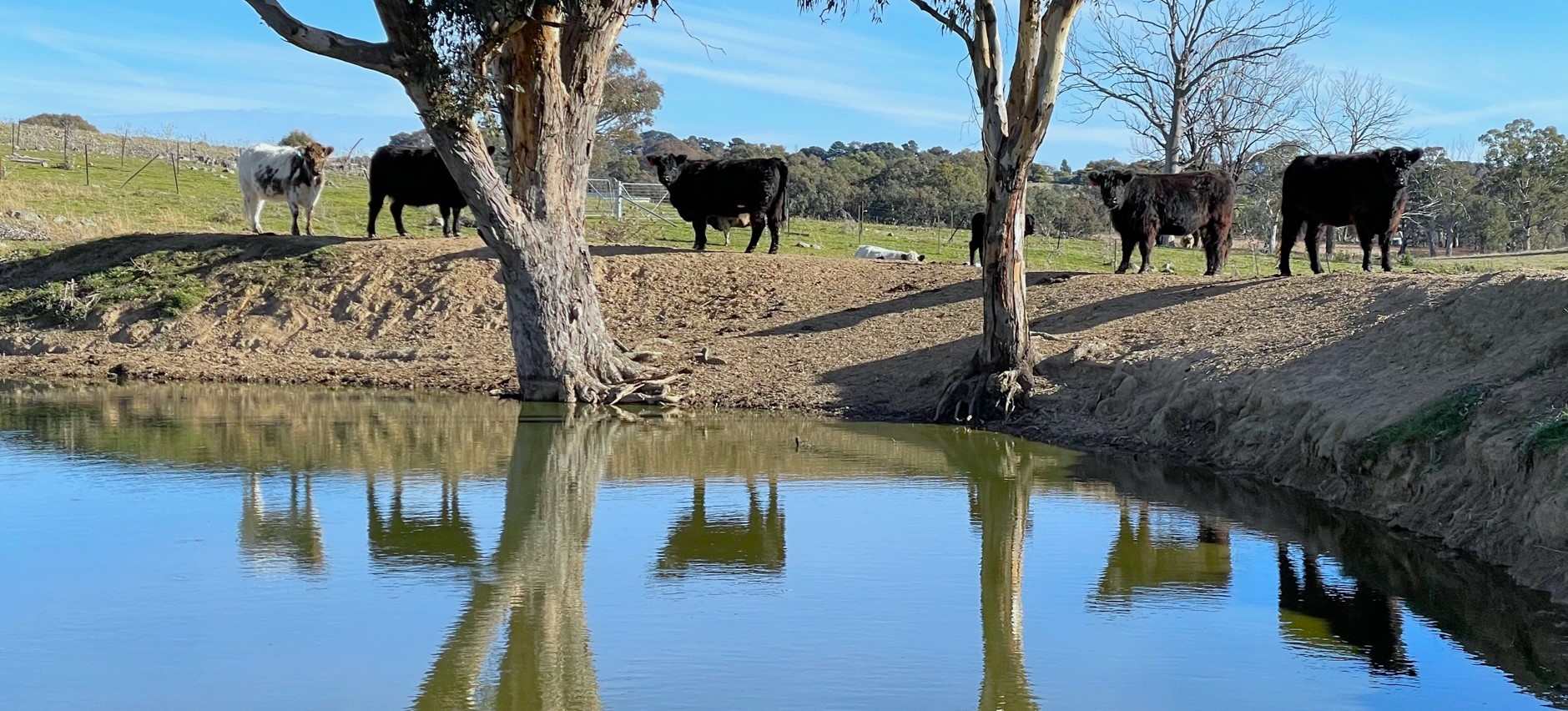 Mudgee Field Days – Galloways Australia
